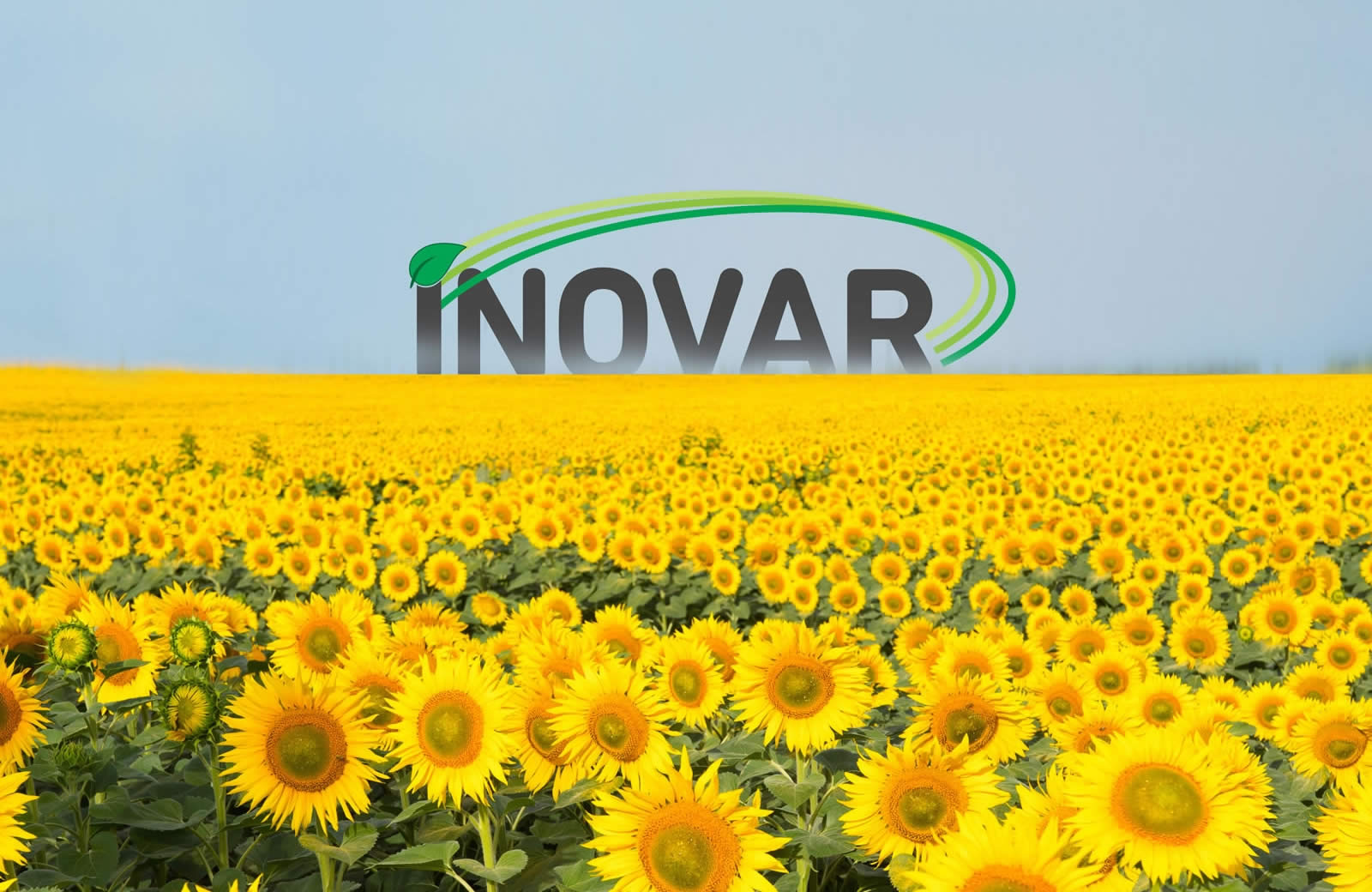 Sobre a Empresa - Inovar Sementes e Cereais